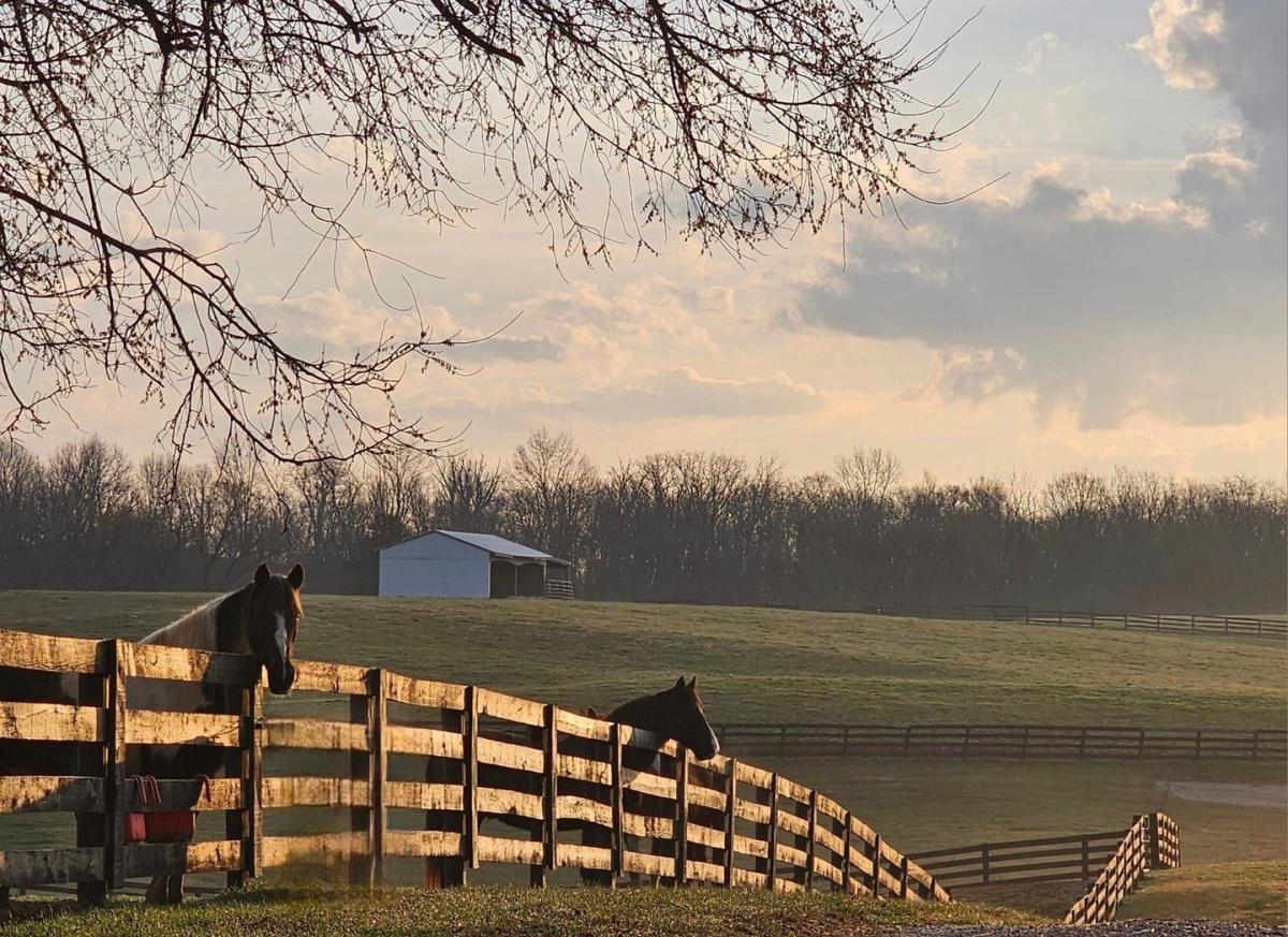Top Things to Do in Shelbyville, KY | ShelbyKY Tourism