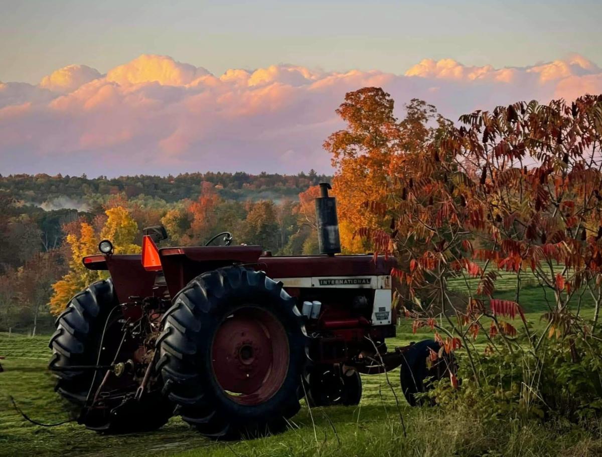 Fall Festivals & Fun in ShelbyKY