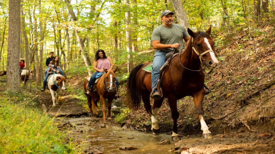 Shenandoah County Horseback Riding