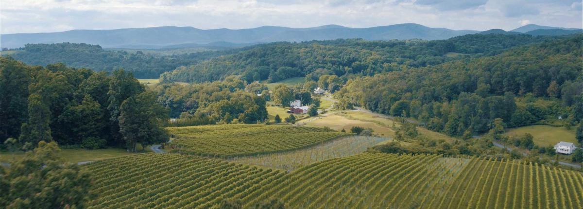 SHENANDOAH COUNTY WINE COUNTRY - Visit Shenandoah County