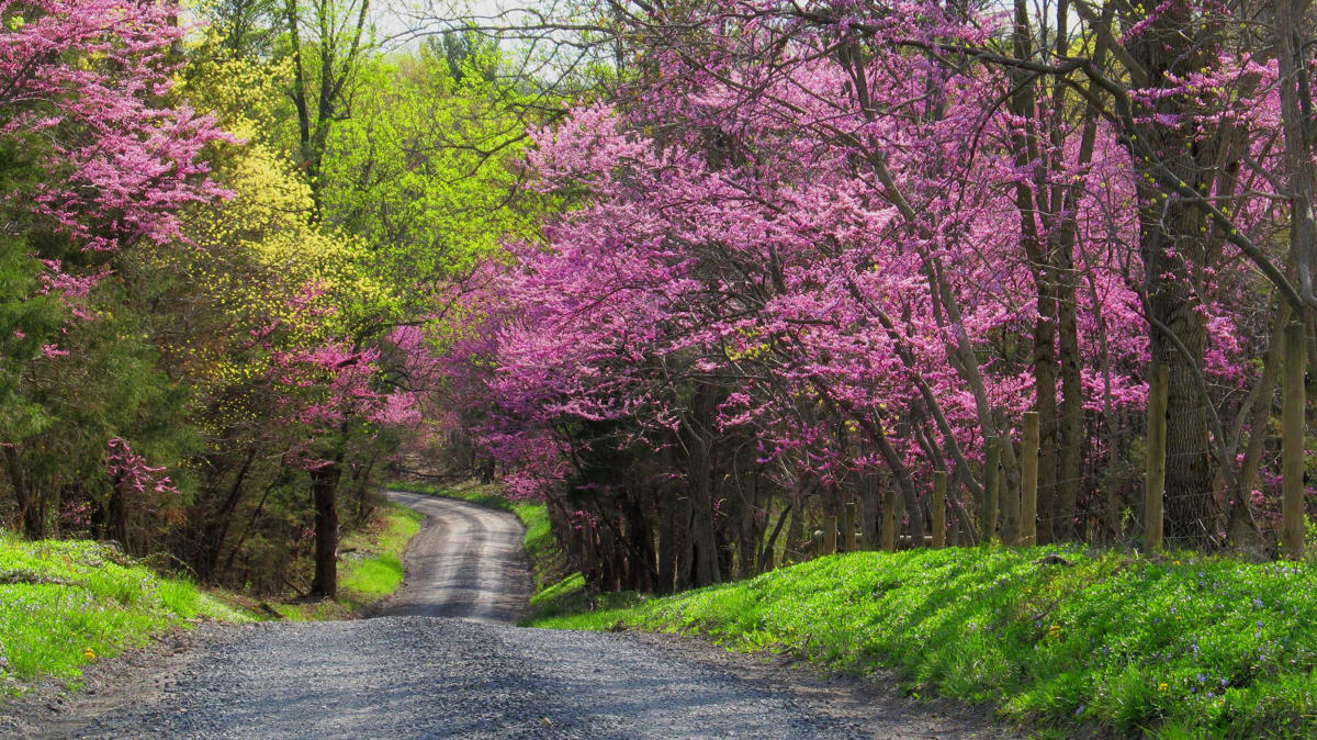 5 Reasons Shenandoah County is the top outdoor destination for spring
