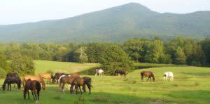 Fort Valley - Visit Shenandoah County