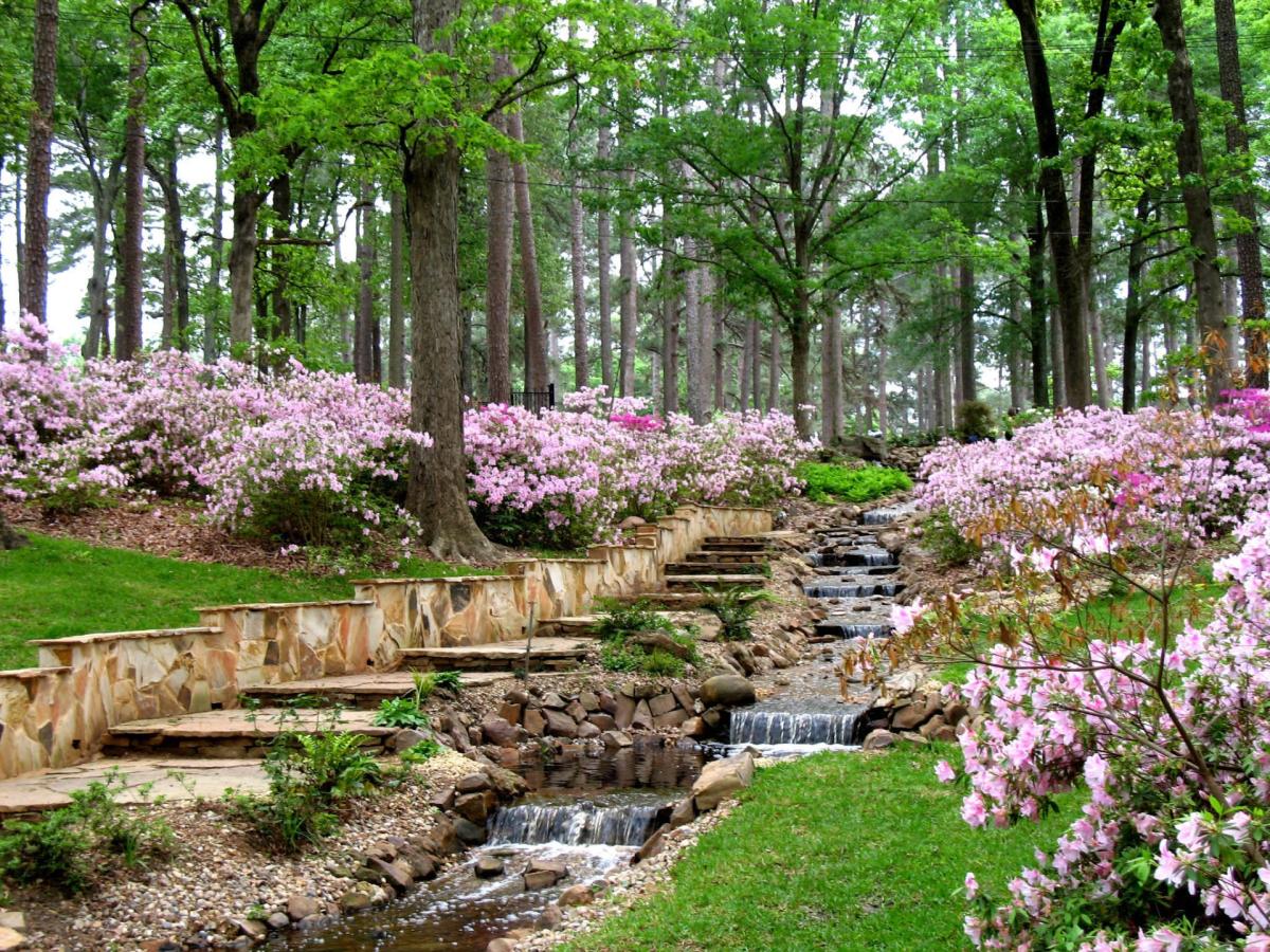 10 Spring Events That Will Sprout Some Happiness in SBC!