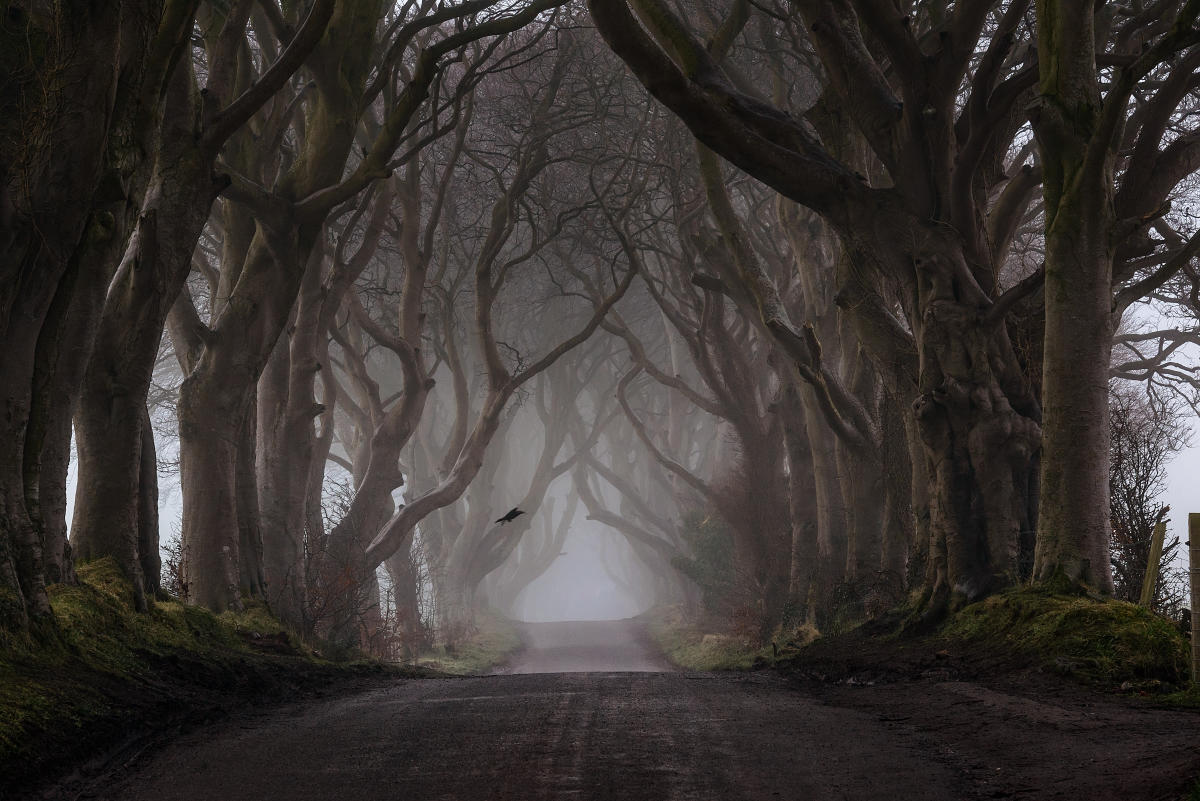 Of ghosts and ghouls: the lure of dark tourism