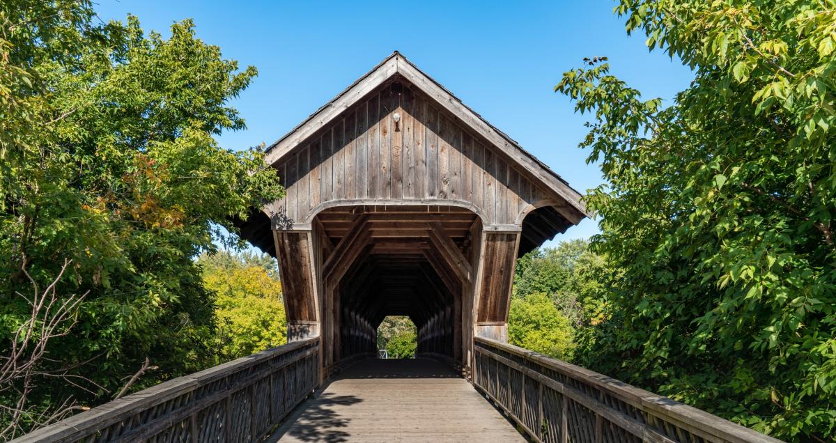 How Downtown Guelph helped its members step up their digital game