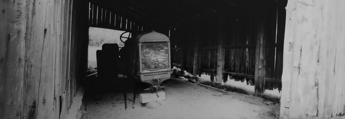 Light & Shadow in Leelanau: The Contrasts of Kaz McCue