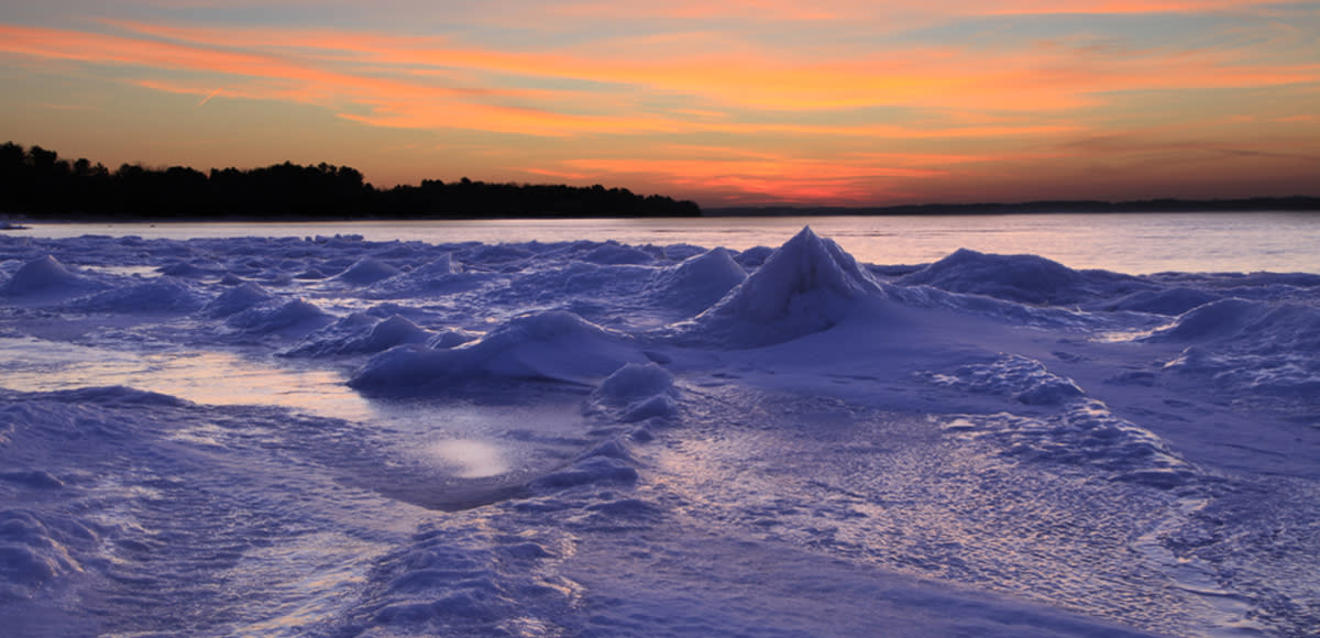 Five Things To Do On Presidents Day five-things-to-do-on-presidents-day