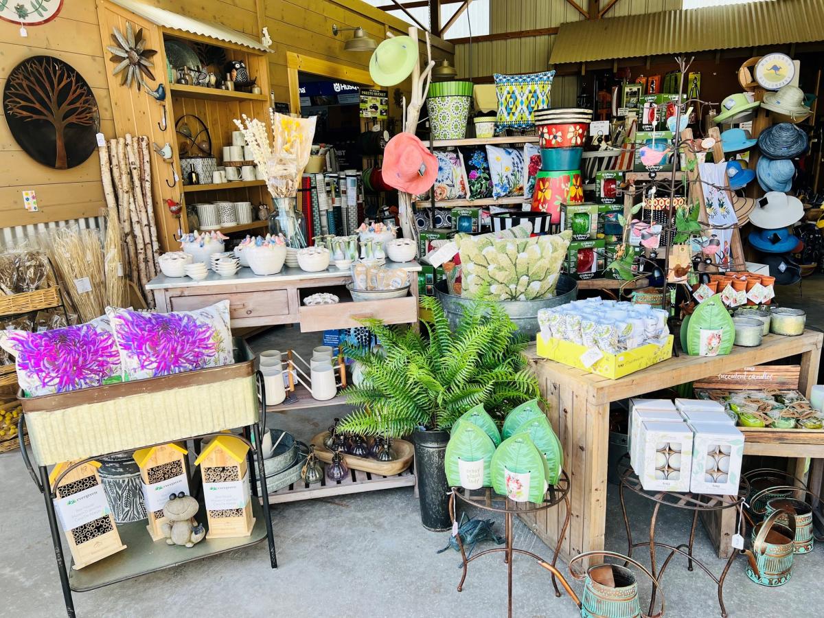 Unique Shops to See on Your Trip Up North