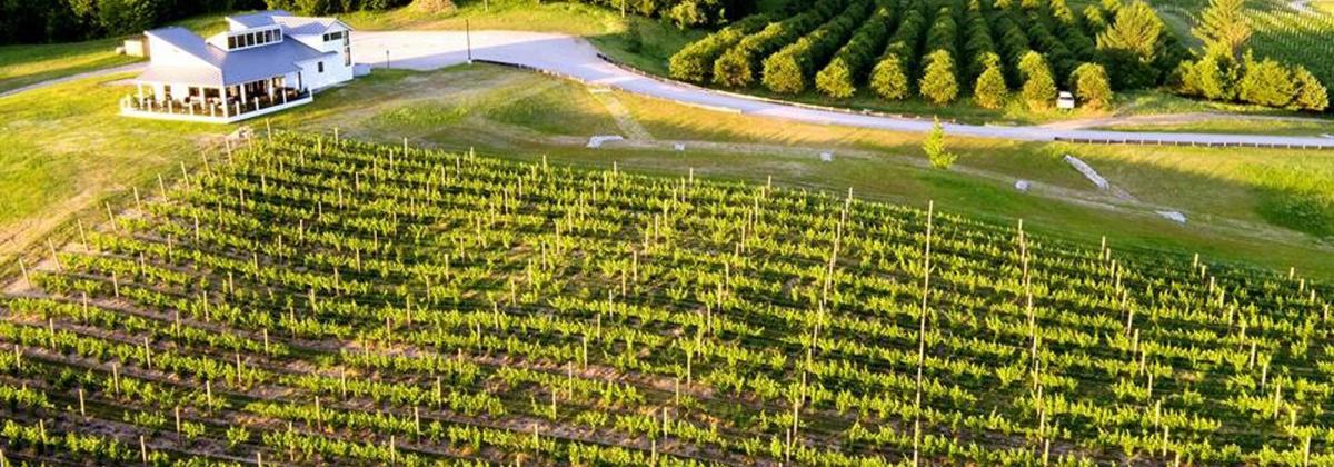 Wineries in Leelanau County | The Homestead