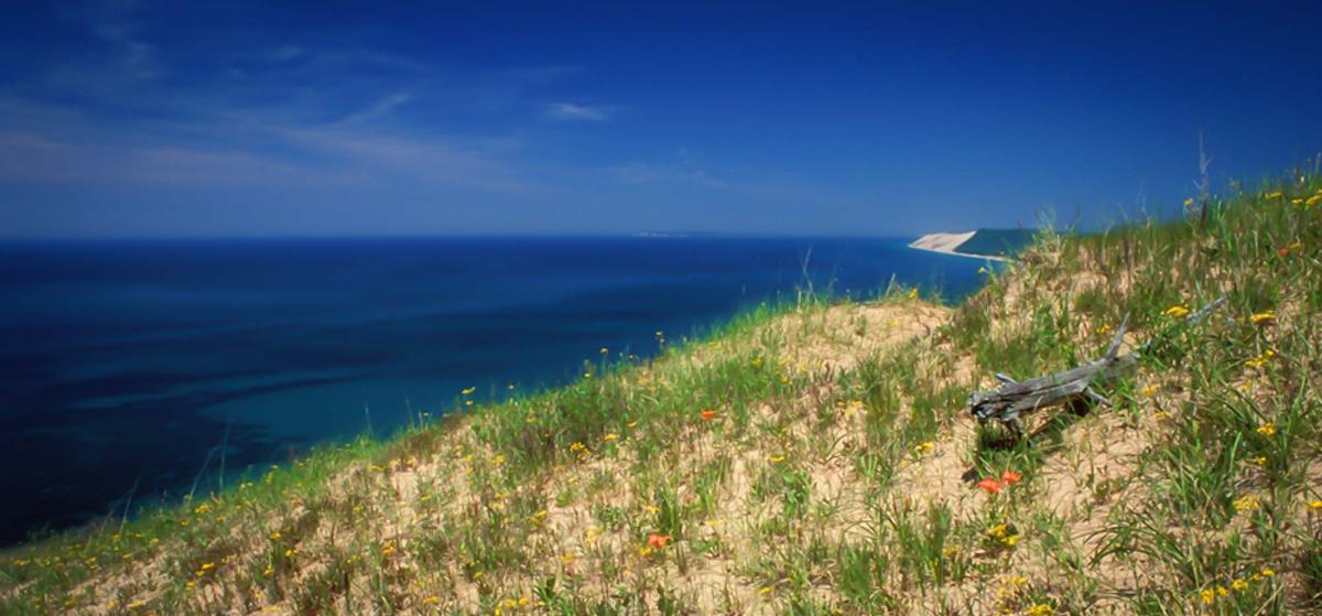 The Homestead - Ambassador Club Point Redemption Chart