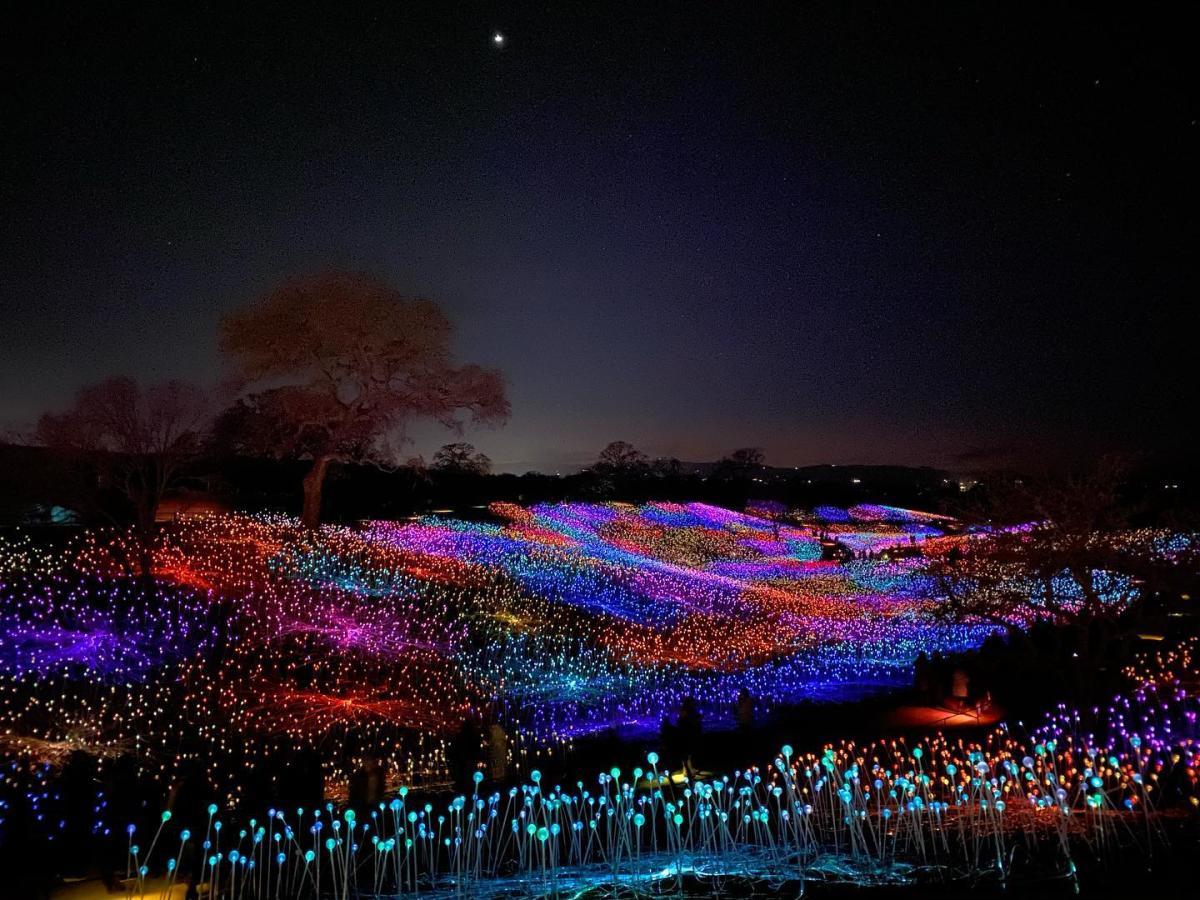 Sensorio | Things to Do in San Luis Obispo County, CA