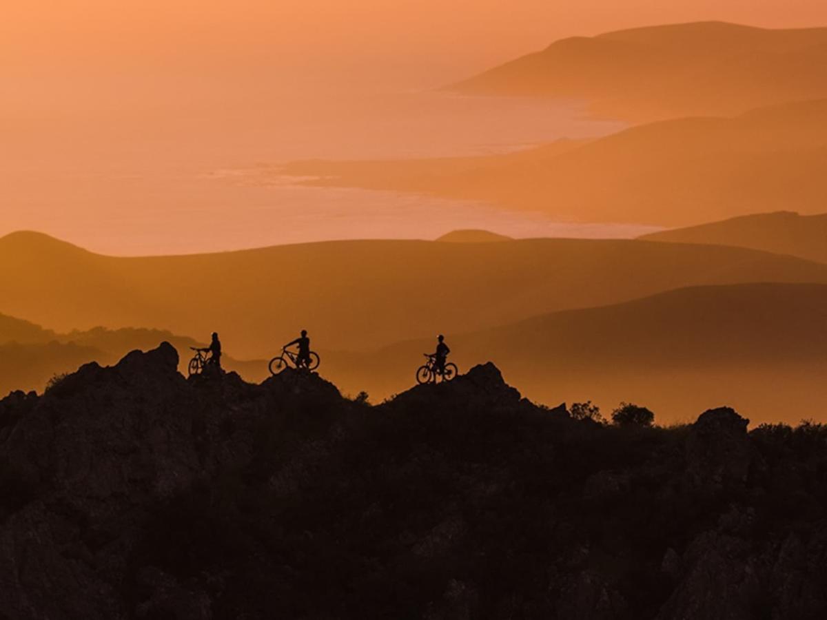 A Road Trip to SLO CAL Awaits You | Visit SLO CAL