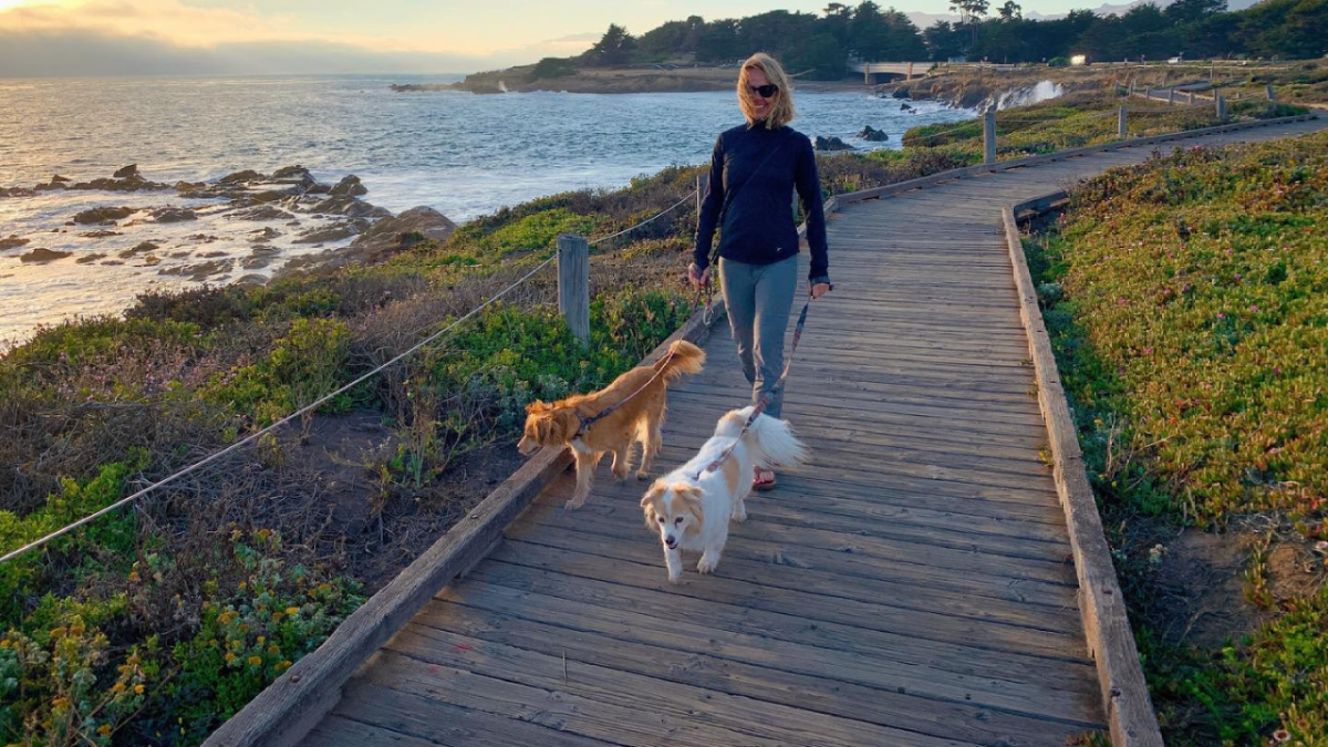 Dog Friendly Vacations In California The Ultimate Guide Journey Jones dog-friendly-vacations-in-california-the-ultimate-guide-journey-jones