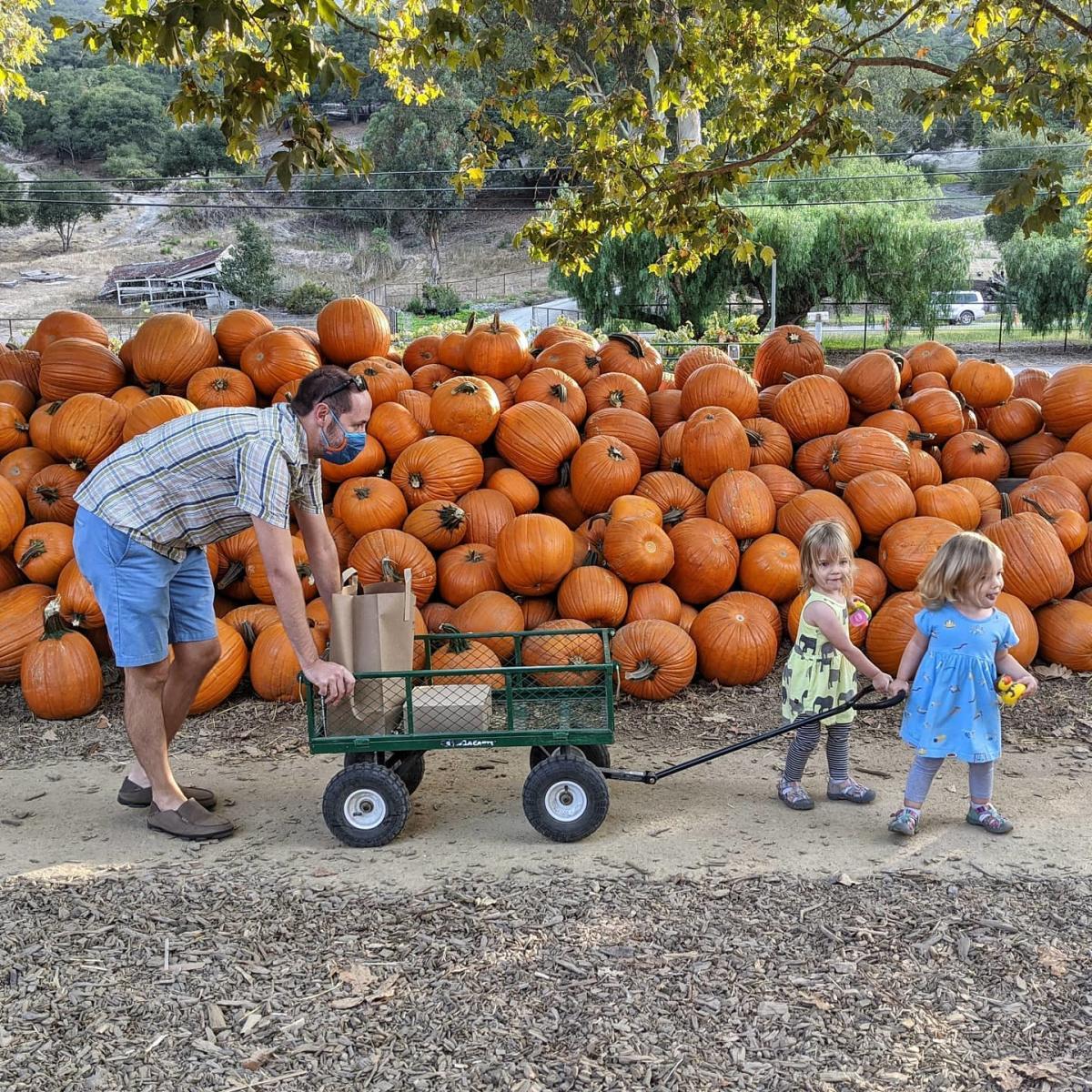 fall events in SLO CAL