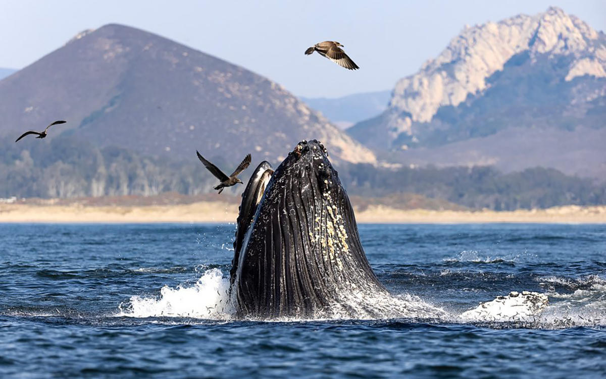 Best Winter Activities and Events in SLO CAL