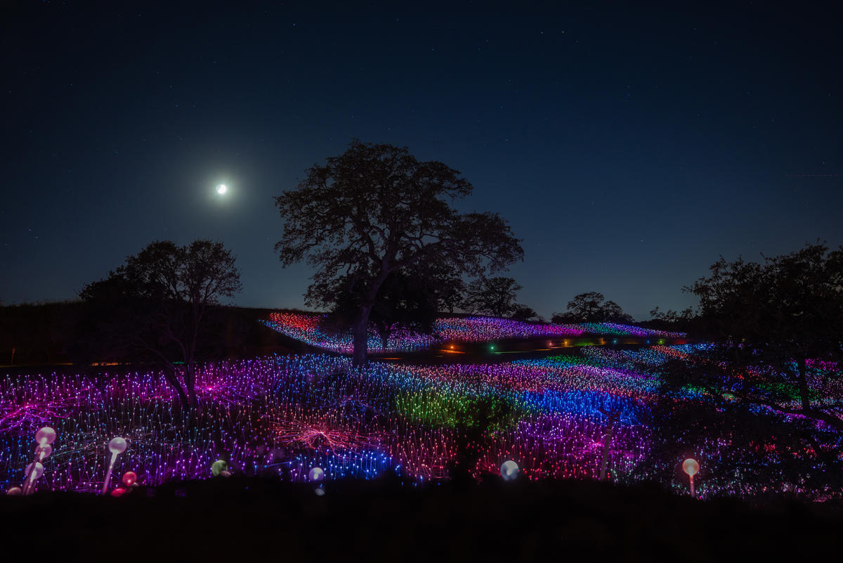 Sensorio a Unique SLO CAL Experience