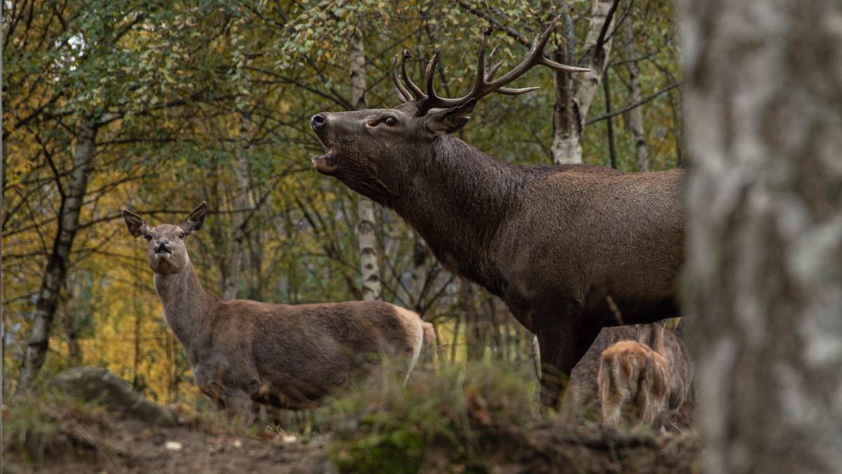 A Short Guide to Responsible Exploration in Norway