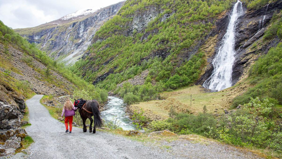 Activities and attractions in Årdal