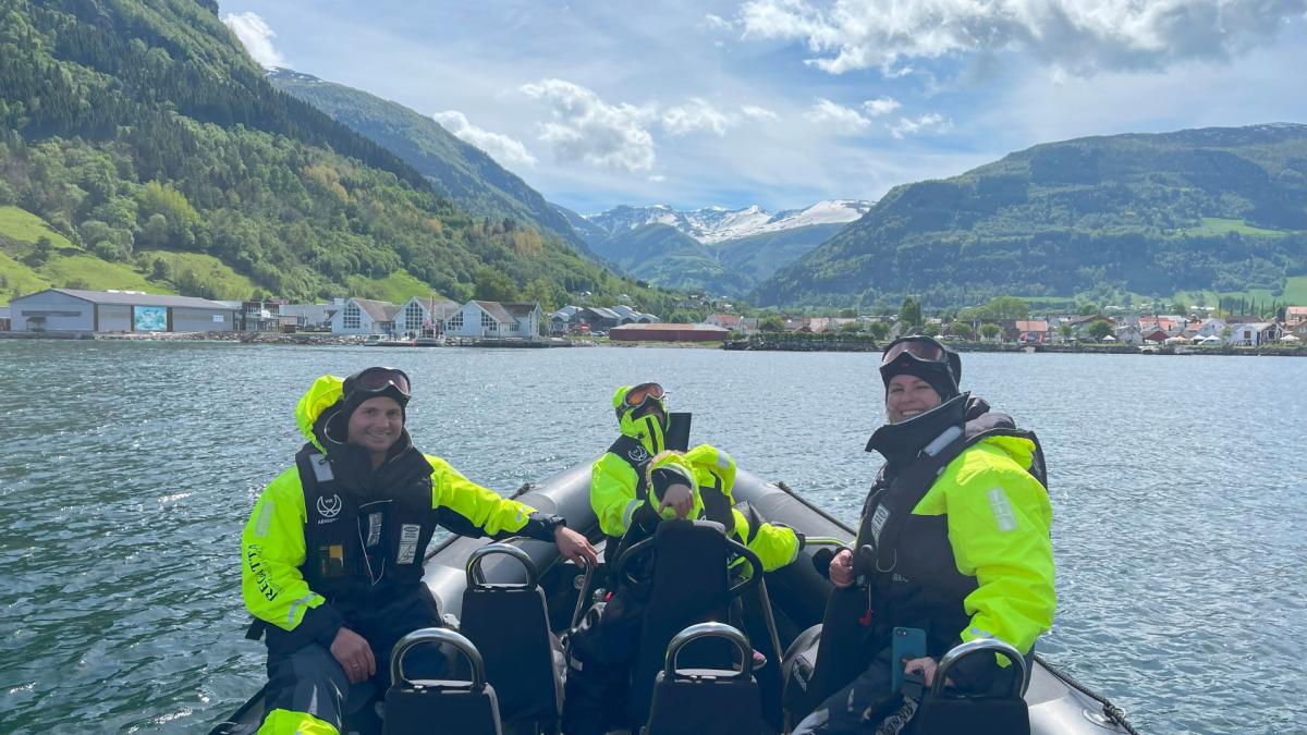 Aktiviteter og attraksjoner i Vik