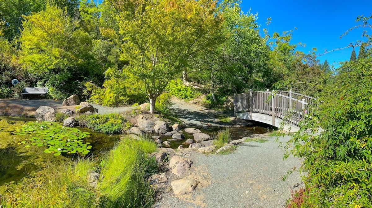 Three Days in Sonoma Valley: Spring 2025 Edition