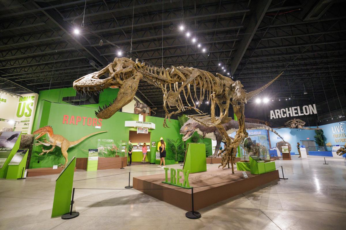 Indiana Dinosaur Museum in South Bend | Restaurant, Exhibits & Trails