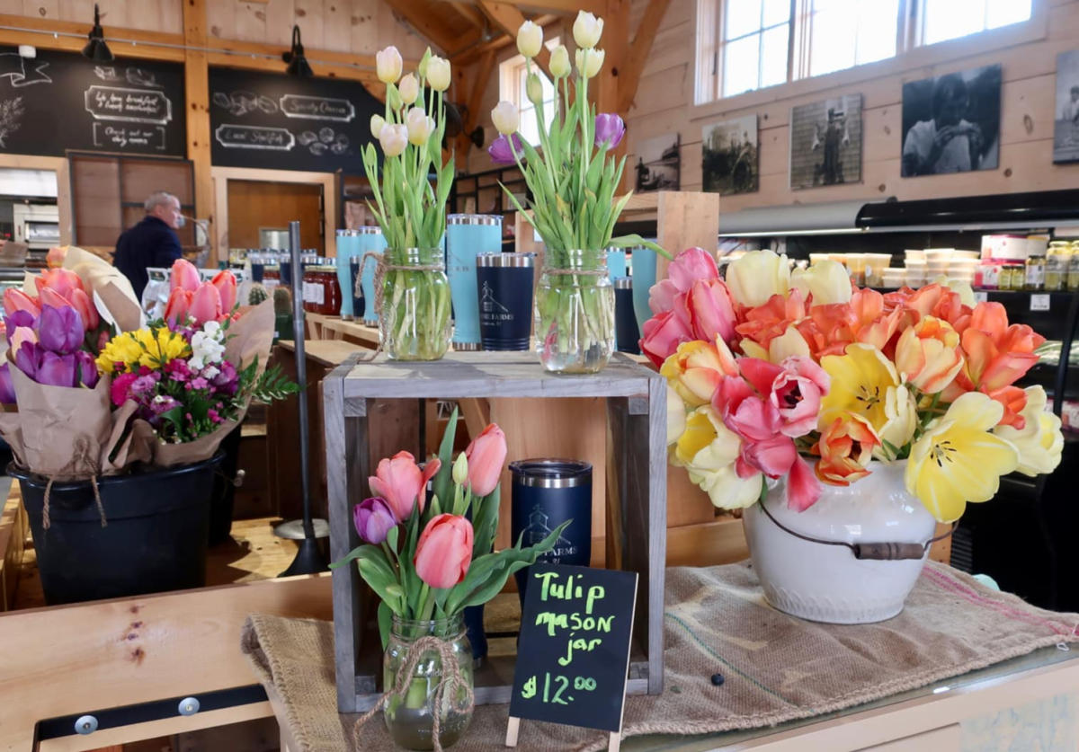 33 Immersive and Romantic Things to do South County RI