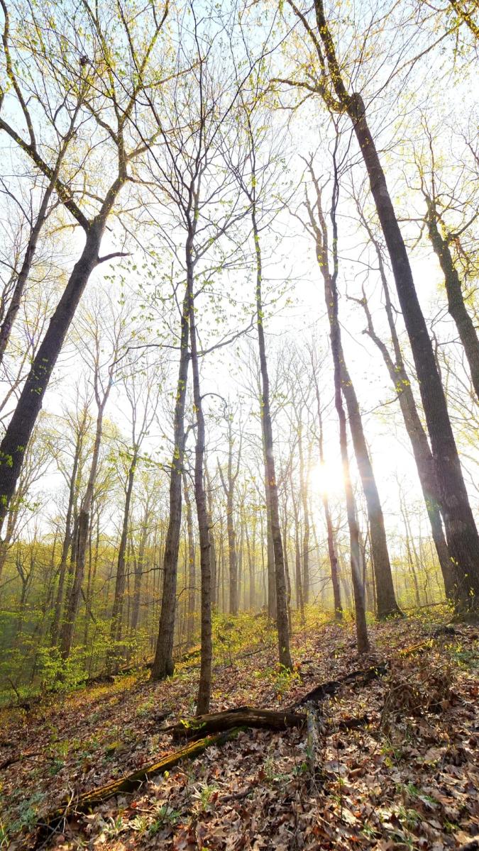 Spooky Sites and Ghost Tours in Southern Indiana