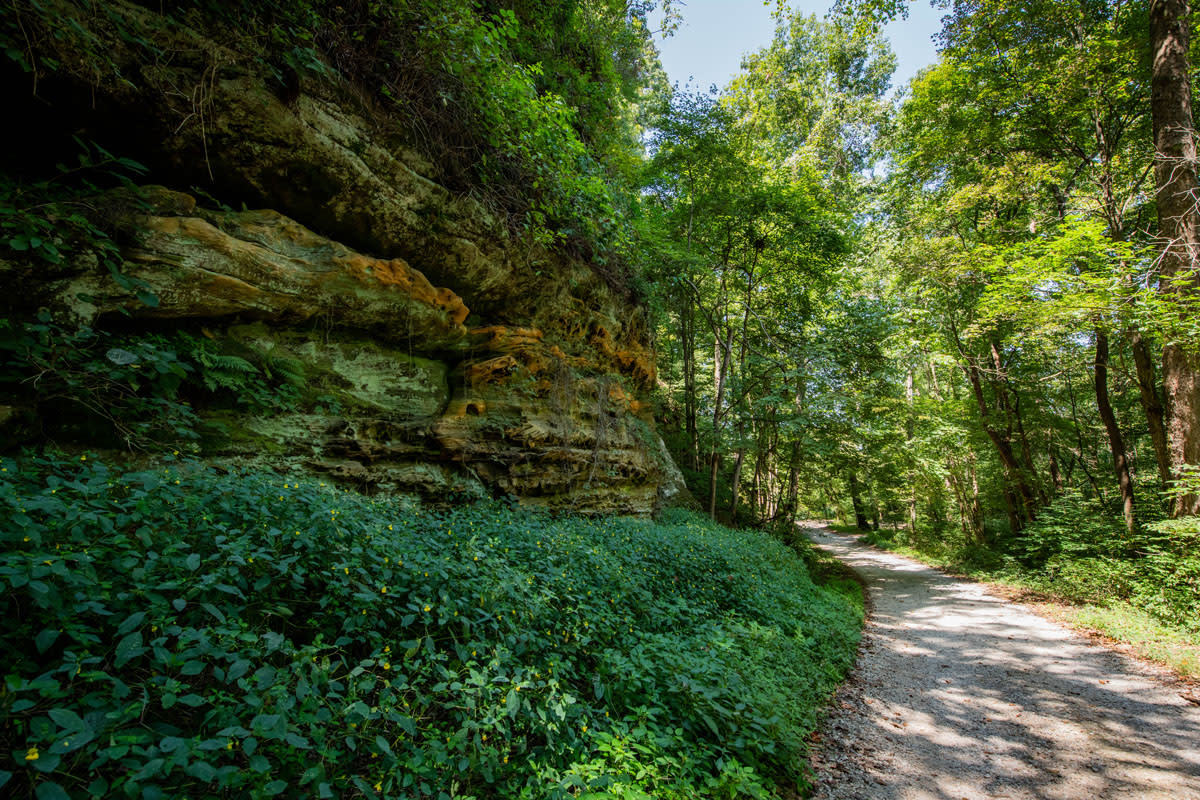 National Forests, State Parks and Wildlife Areas