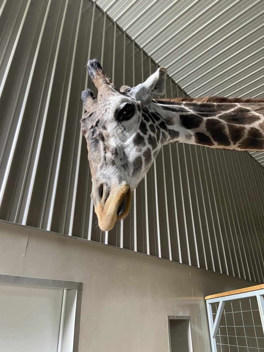 Three Must-See Places in Southern Indiana for Families