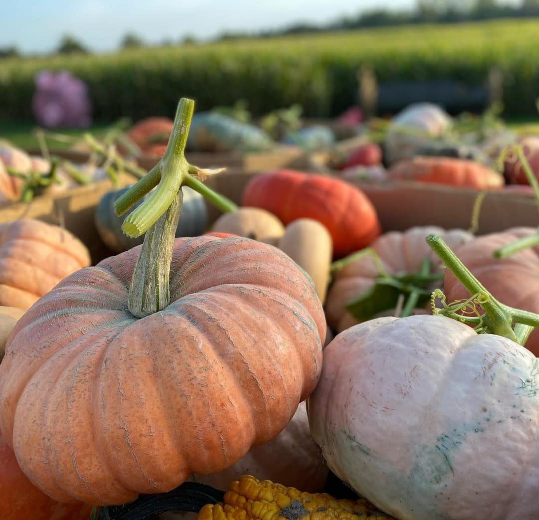 Top Five Fall Activities in Southern Indiana