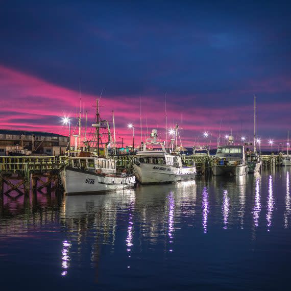 Experience Bluff | Southland, New Zealand