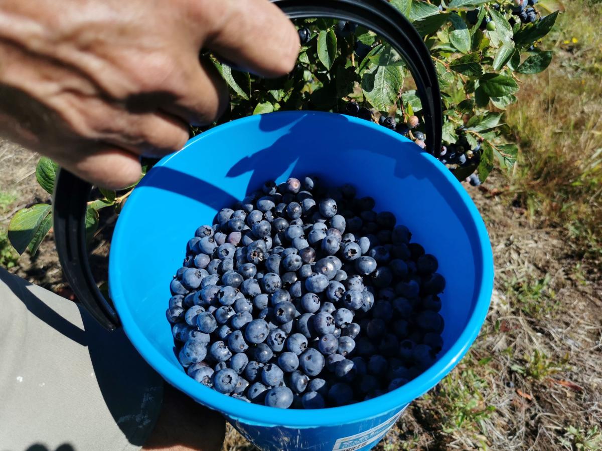 Otautau | Southland, New Zealand