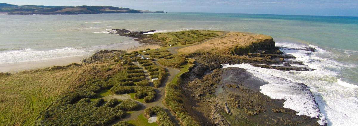 Curio Bay | Southland, New Zealand