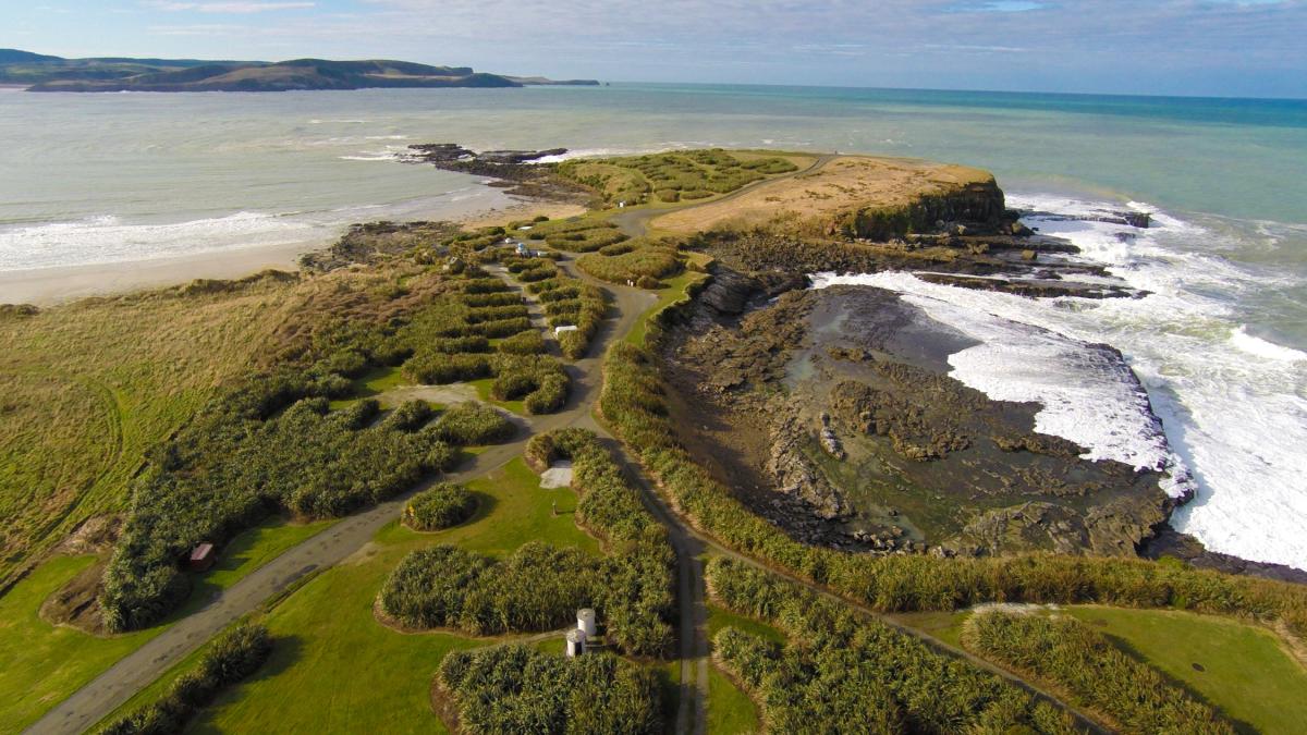 Curio Bay | Southland, New Zealand