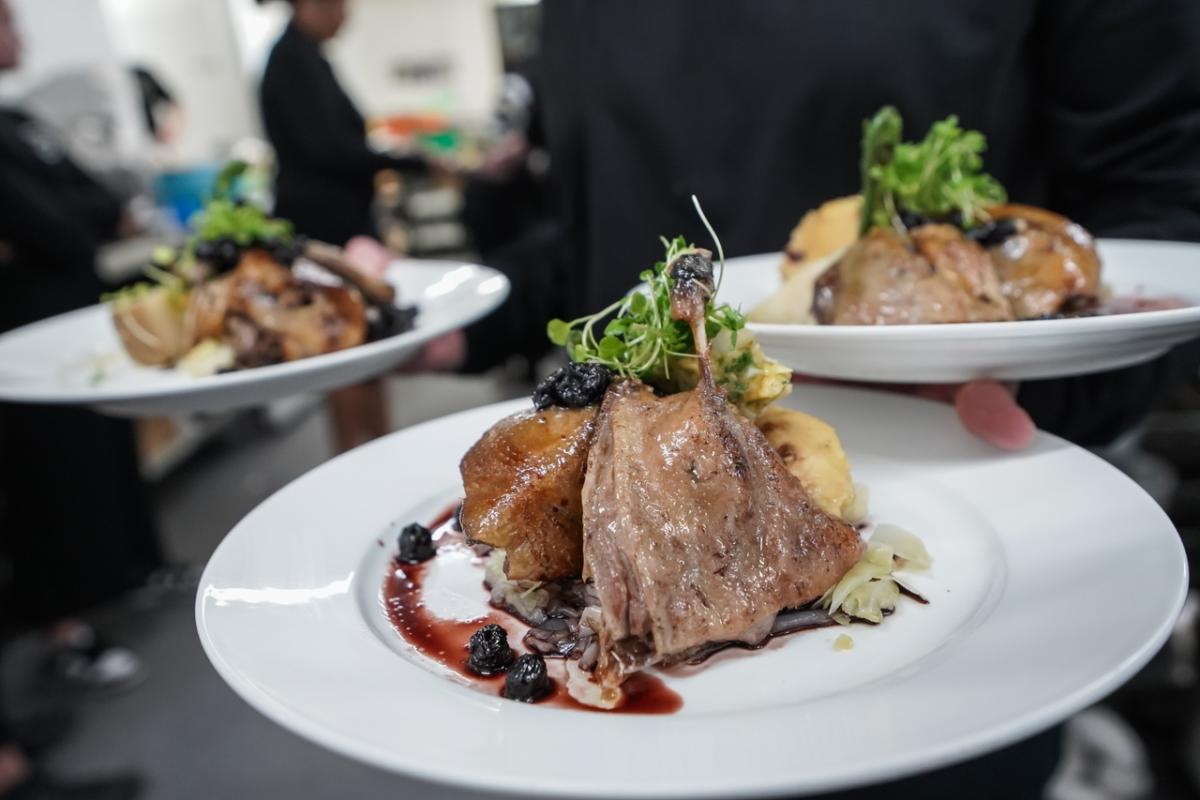 Tītī/Muttonbird | Southland, New Zealand