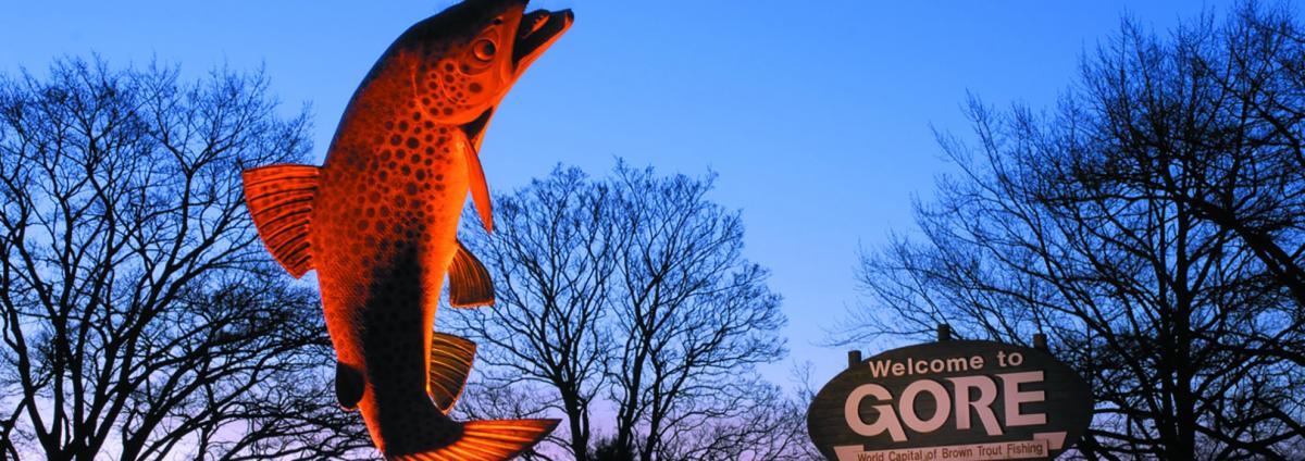 Discover Gore District | Southland, New Zealand