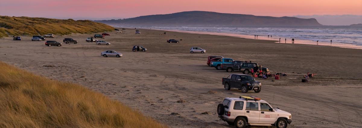 Nature Invercargill | Southland, New Zealand