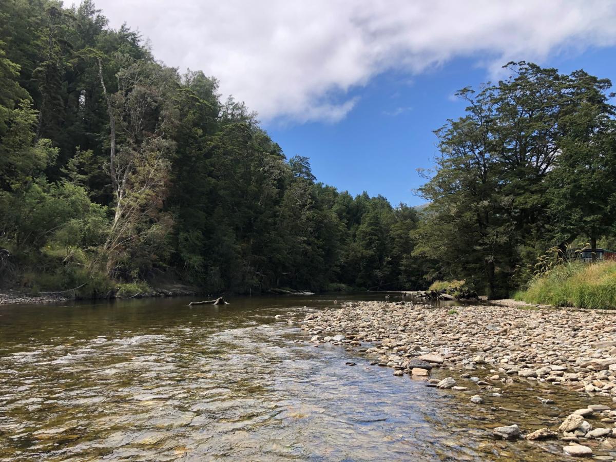 Waikaia | Southland, New Zealand