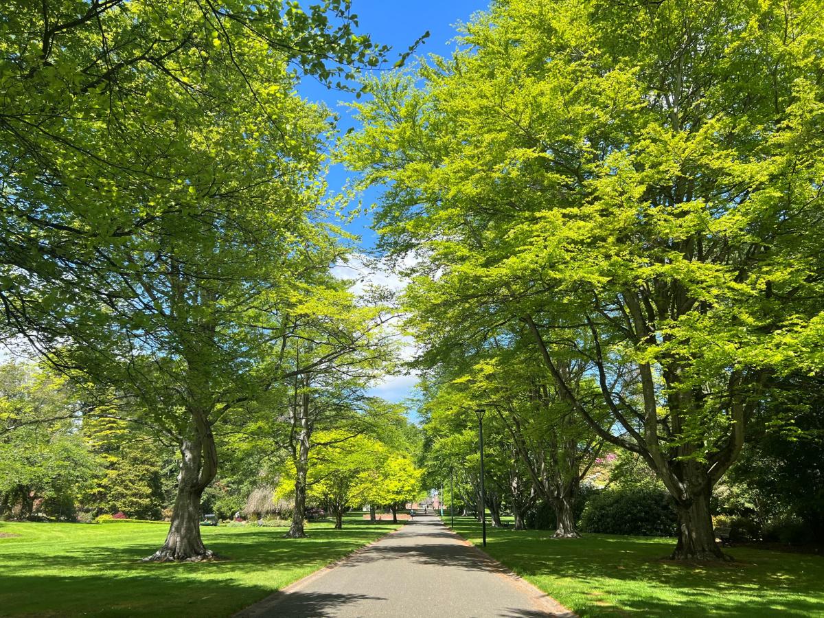 Parks & Outdoor Playgrounds in Invercargill | Southland, New Zealand