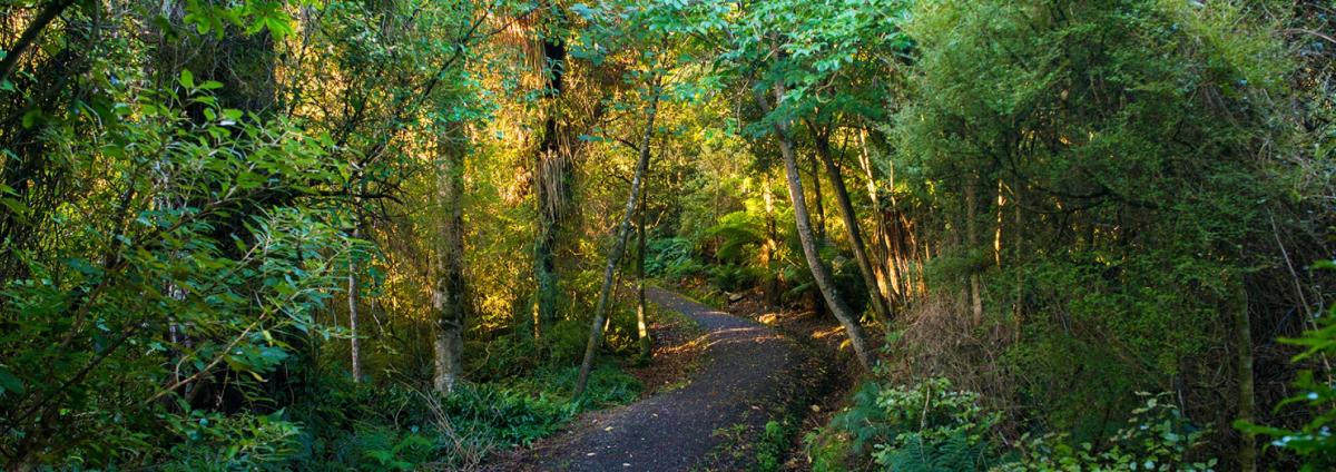 Riverton Walks | Southland, New Zealand