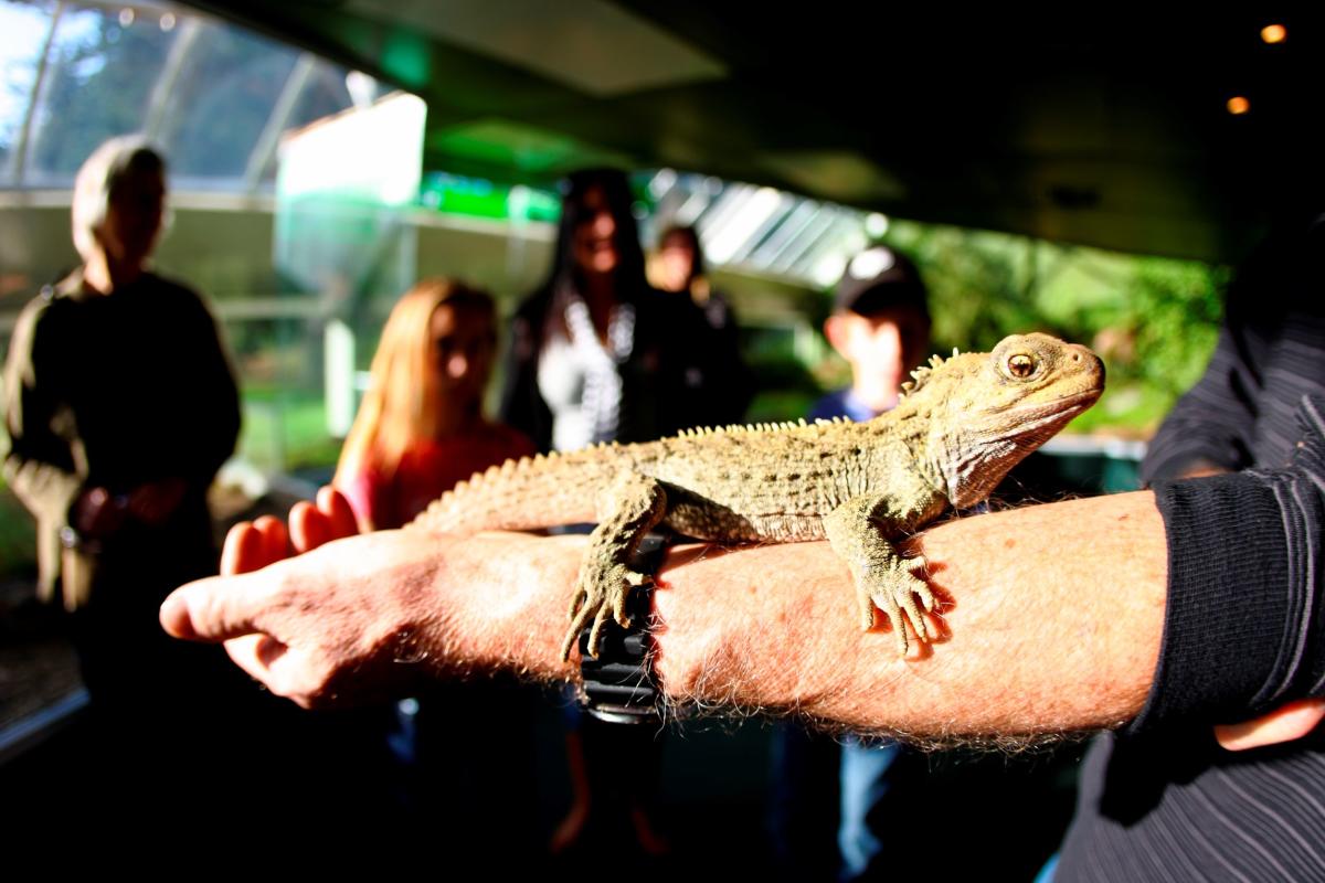 Southland Facts | Southland, New Zealand