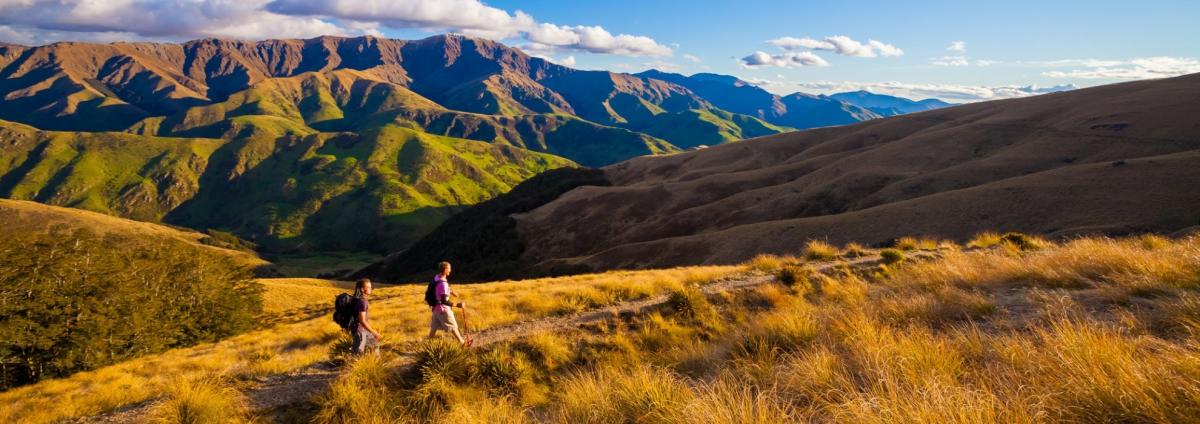 Nature Northern Southland | Southland, New Zealand