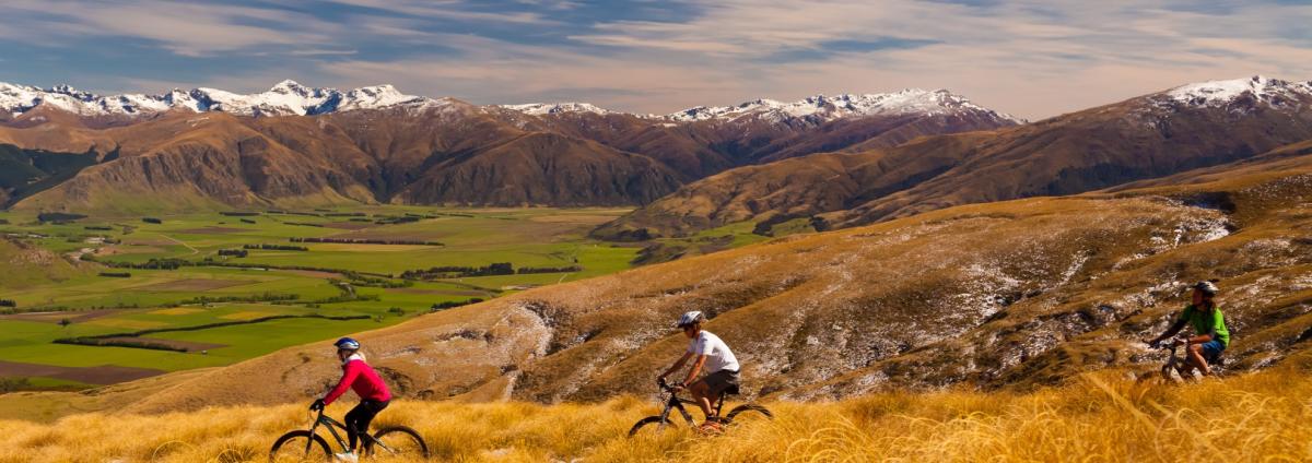 Tours & Experiences | Southland, New Zealand