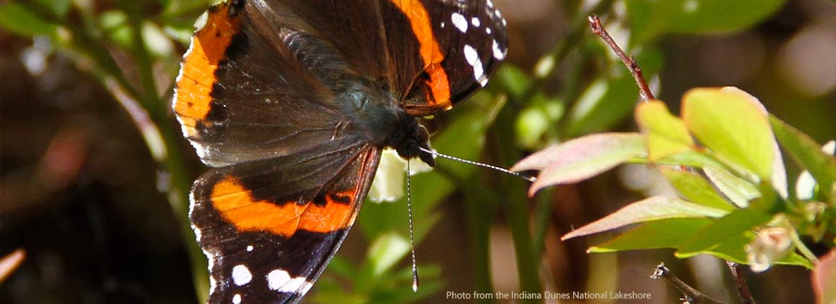 Things to Do in Spring | Northwest Indiana Spring Activities