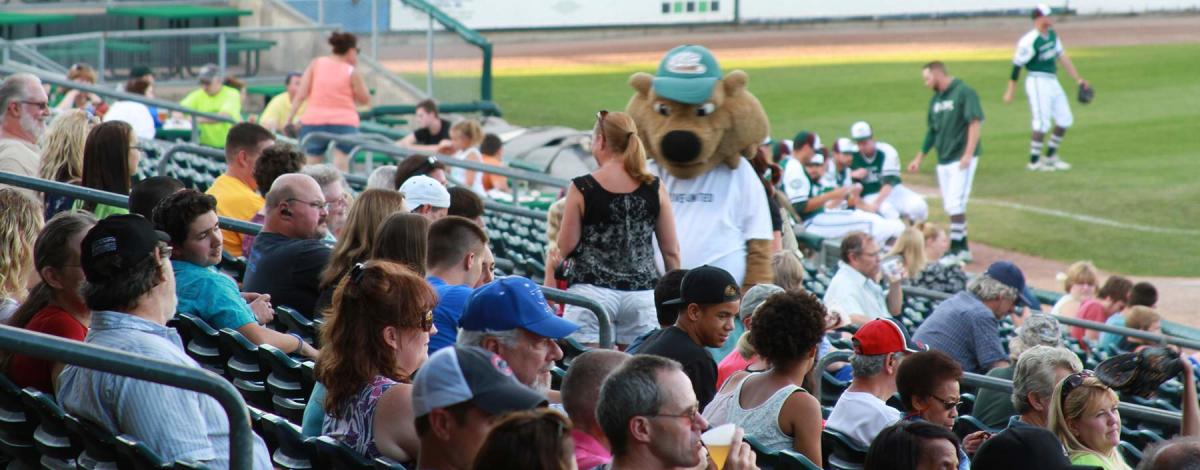 South Shore RailCats | South Shore Minor League Baseball