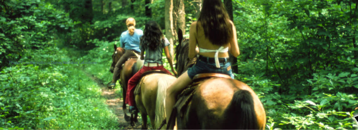 Indiana Dunes Horseback Riding | Glenwood Dunes Trail