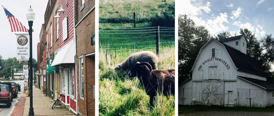 Animals & Antiques in Lowell, Indiana | Family Attractions