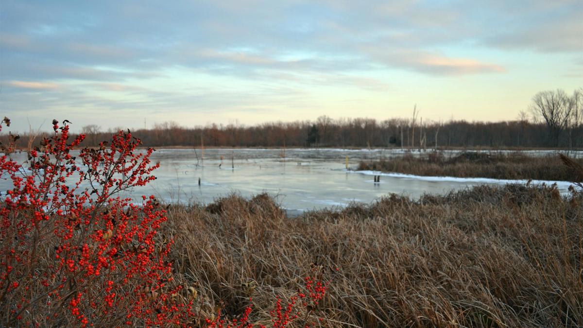 South Shore Indiana | Great Marsh Trail @ Indiana Dunes National Park