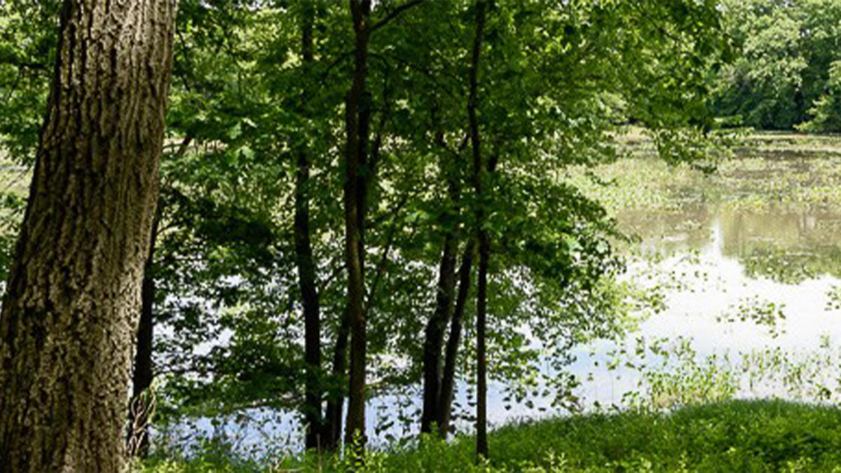 South Shore Indiana | Hobart Prairie Grove Trails @ Indiana Dunes ...