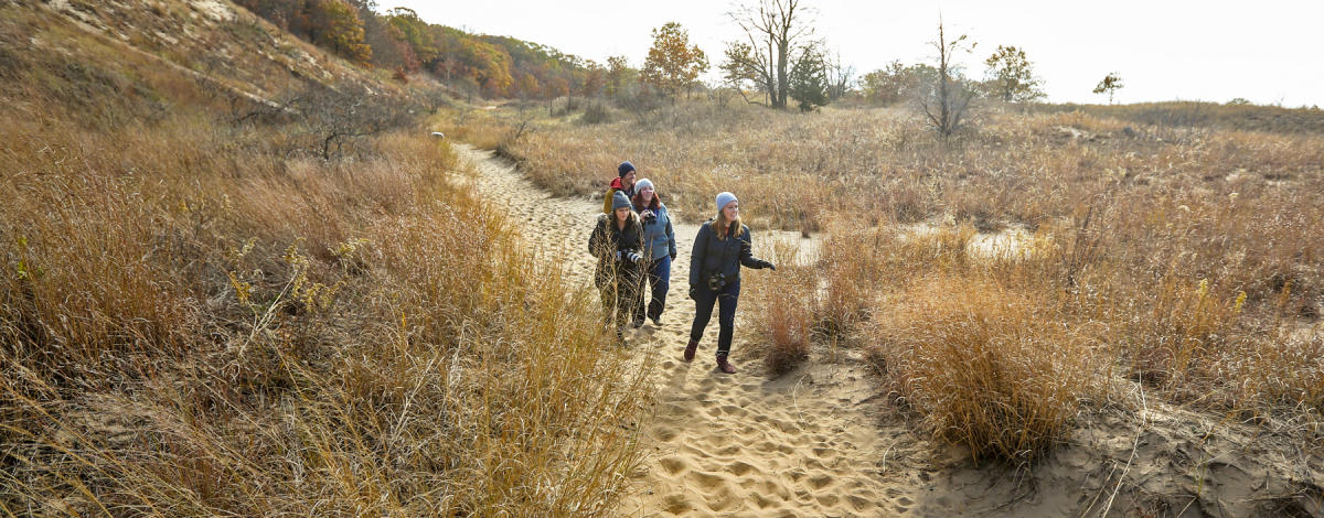 South Shore Hikes for Beginners | Outdoor Recreation